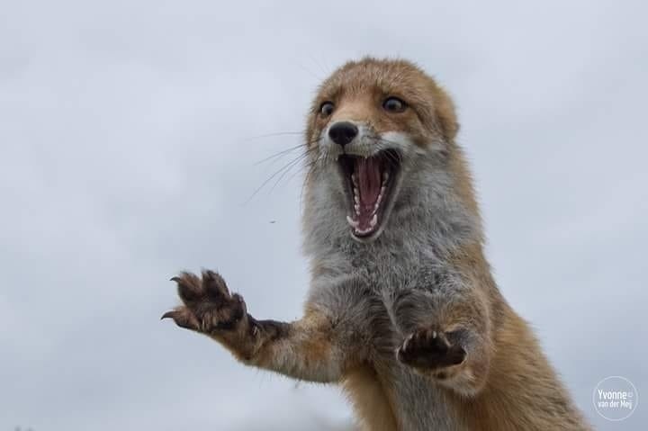 deep outdone pertinent