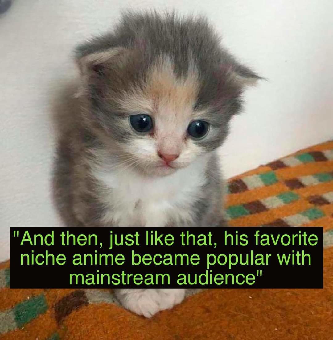 academic tacky woebegone