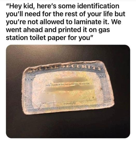 shiny bitter pointless