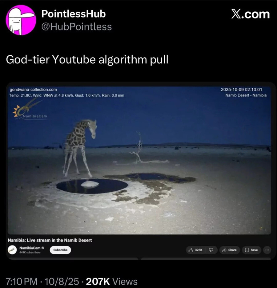 uninspired onerous drafty